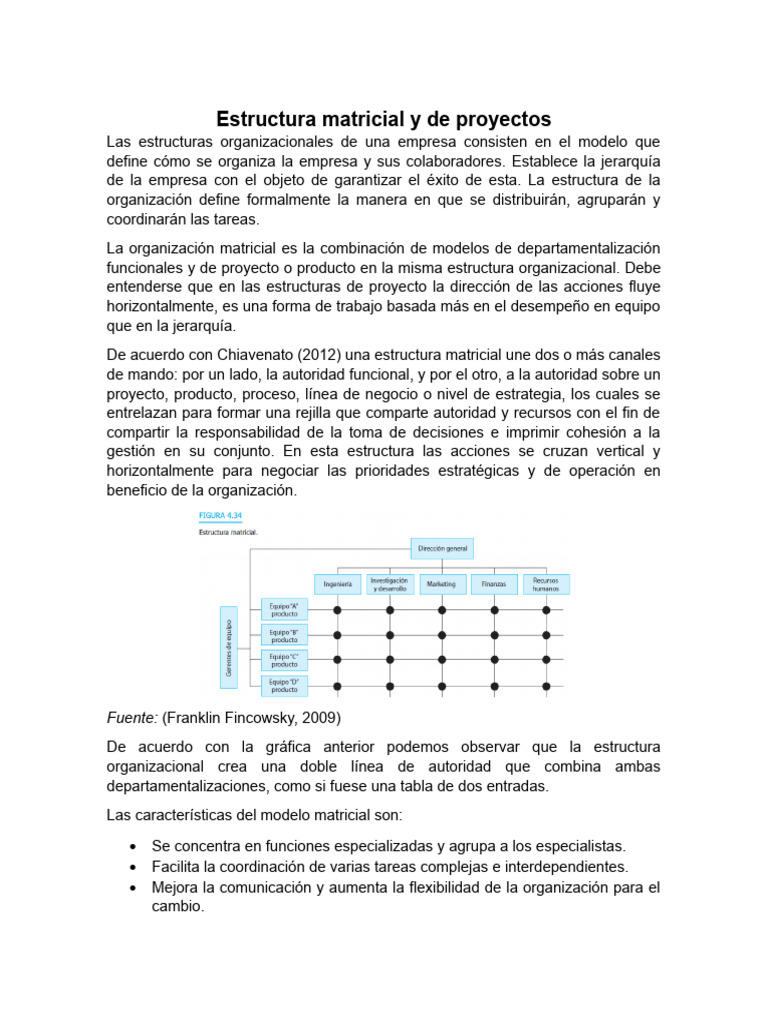 Estructura Matricial y de Proyectos | PDF | Business | Negocios económicos