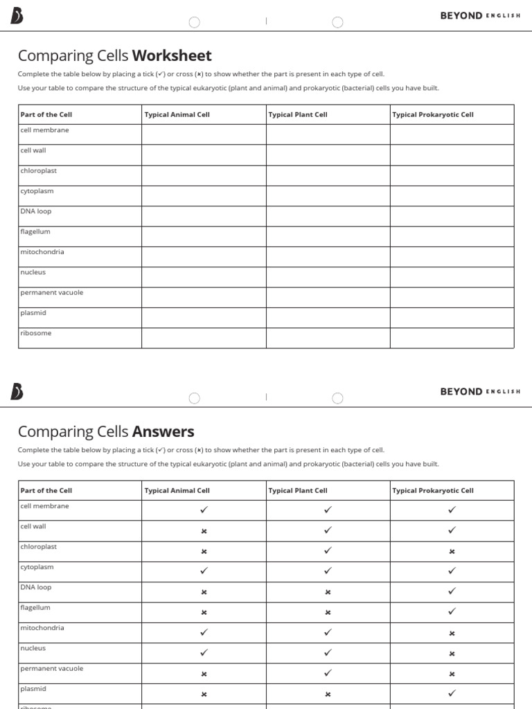 Comparing Cell Structures Worksheet | PDF | Cell (Biology) | Prokaryote