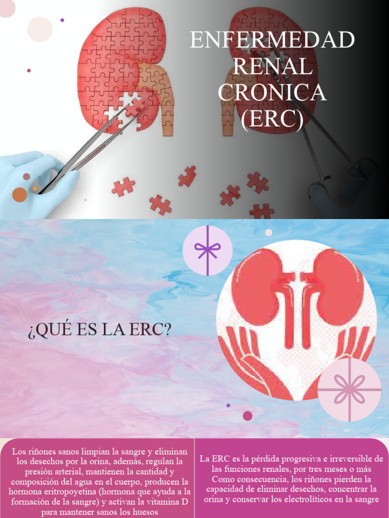 ENFERMEDAD RENAL CRONICA | PDF | Enfermedad renal crónica | Causas de la muerte