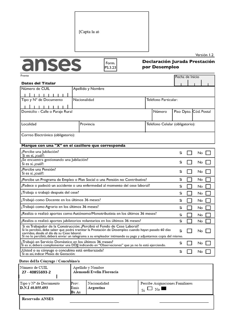 Formulario Desempleo | PDF