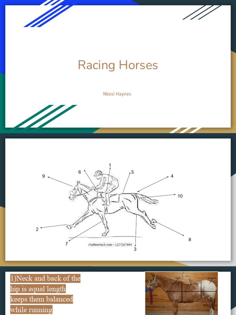 Racing Horses | PDF