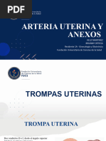 Partes de la Salpinge y Anatomía Asociada | PDF | Ovario | Pelvis
