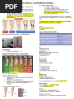 Classificação CEAP em Insuficiência Venosa | PDF | Varizes | Veia