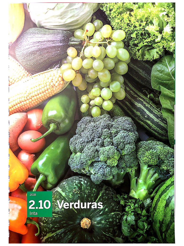 3 Verduras 1 | PDF