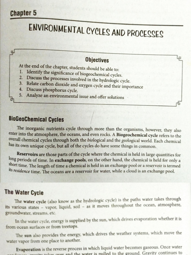 Chapter 5 Environmental Cycles and Processes | PDF