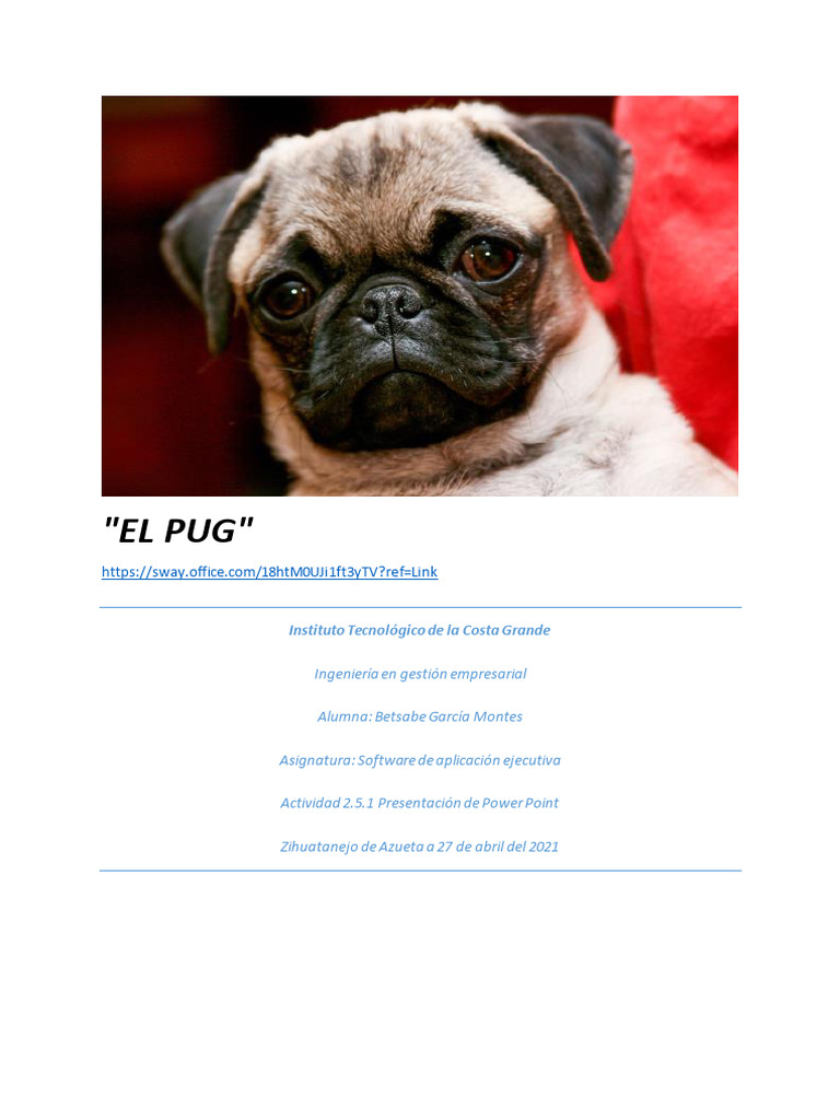 Guía Completa del Pug | PDF