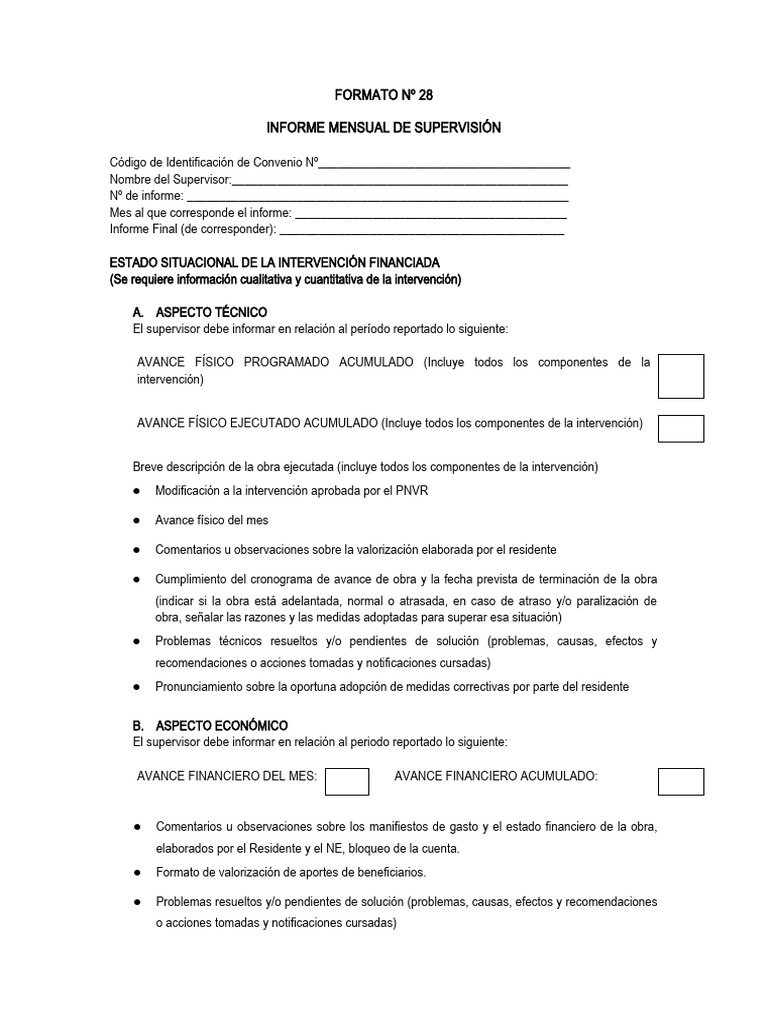 Formato Nº28 Informe Mensual de Supervisión | PDF