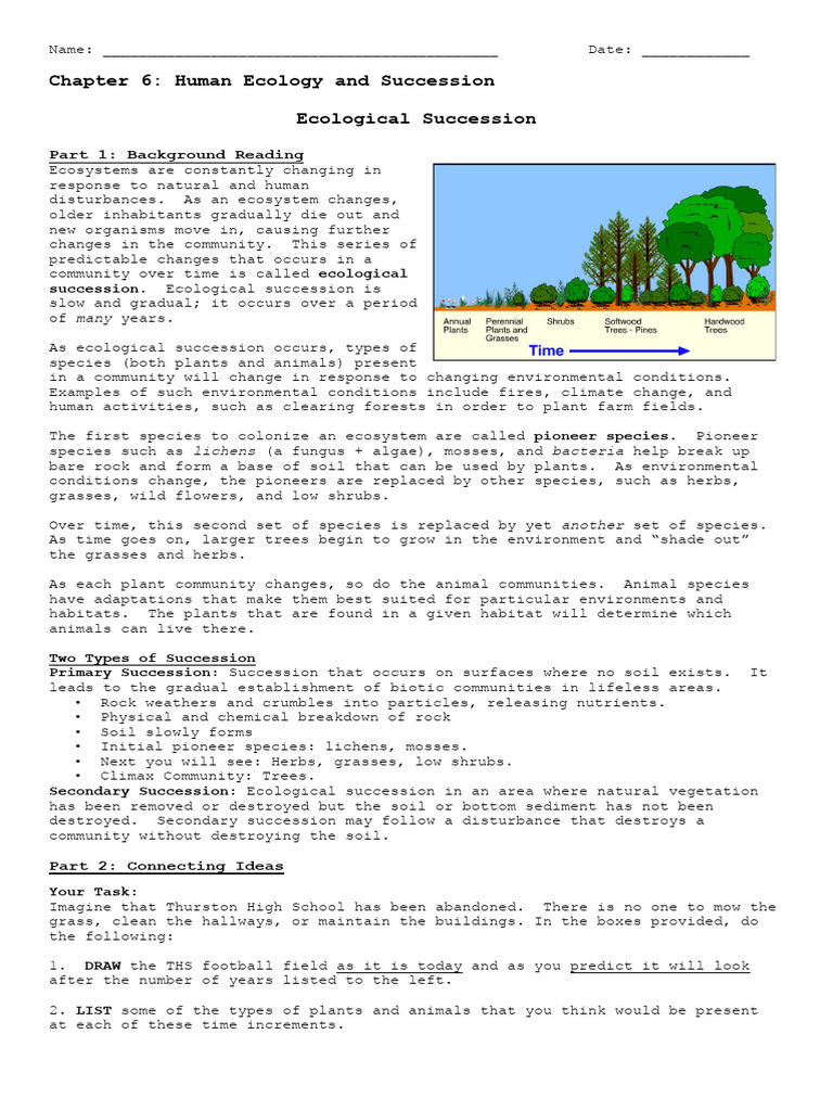 Human Ecology and Succession Activity | PDF | Biogeochemistry | Environmental Science