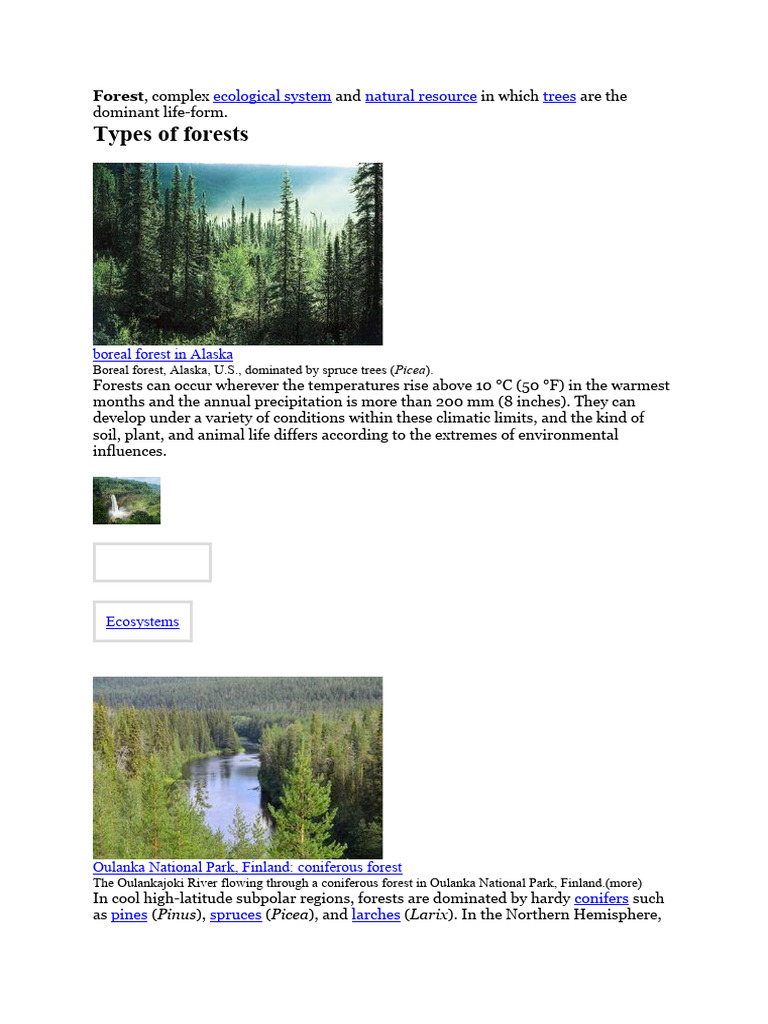Forest | PDF