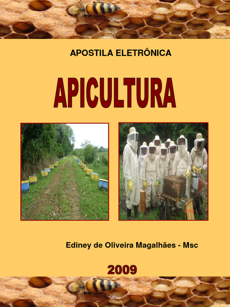 Apicultura Básica Pdf Apicultura Abelhas