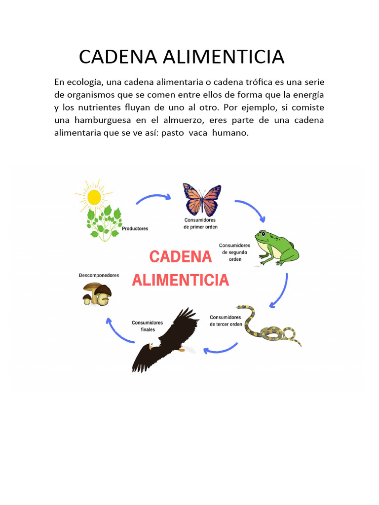 Cadena Alimenticia Humana y Ecosistemas | PDF