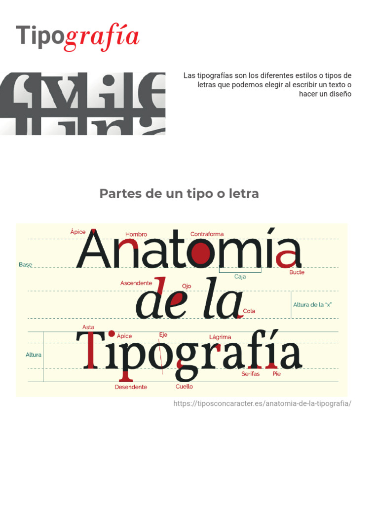 Tipografía | Descargar gratis PDF | Tipografía | Artes Decorativas