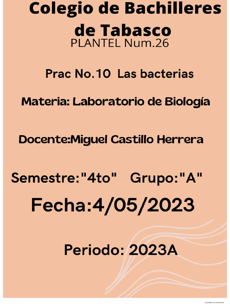 Práctica No.10 | PDF