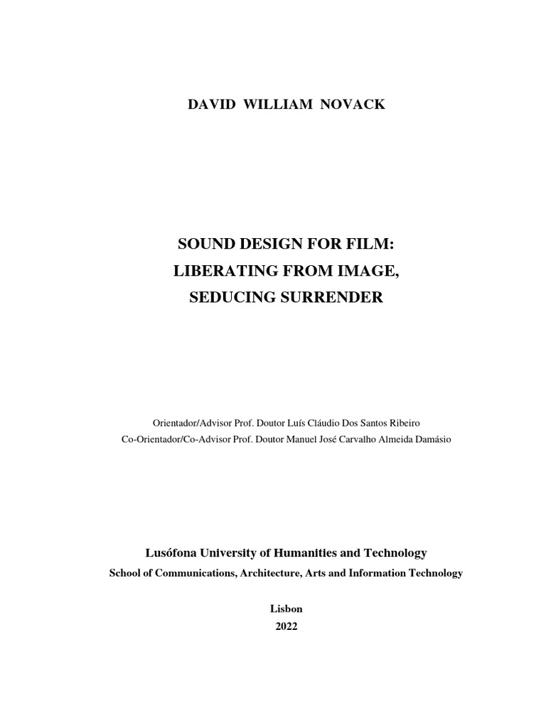 VF Novack David DAM 2022 1de1 | PDF | Qualitative Research | Methodology
