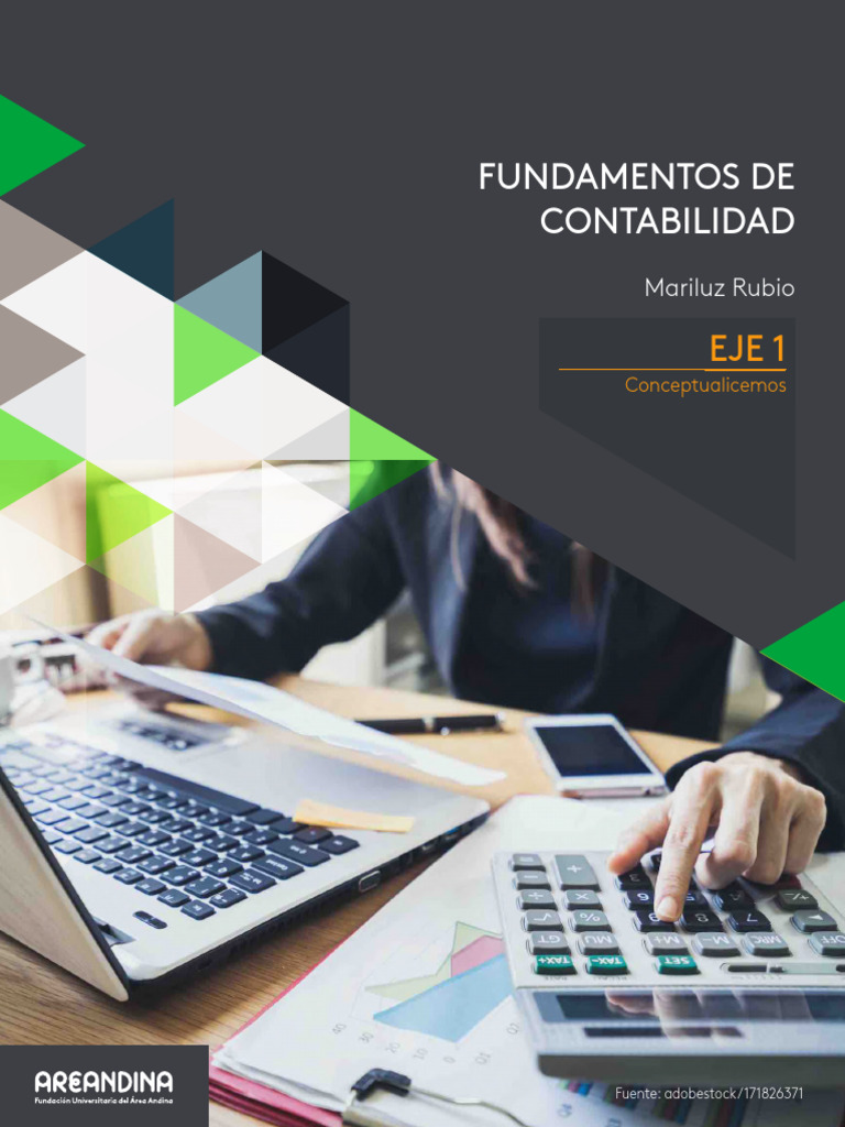 Referent e 1 | PDF | Contabilidad | Business