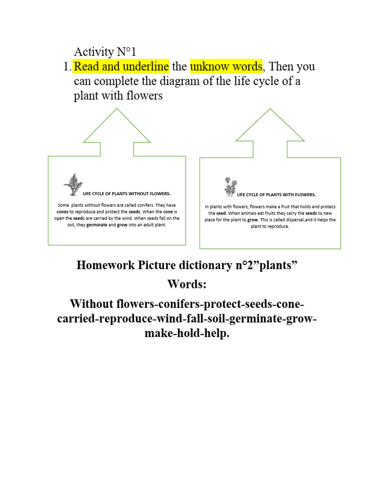 Activity N°1 Plants-1 | PDF