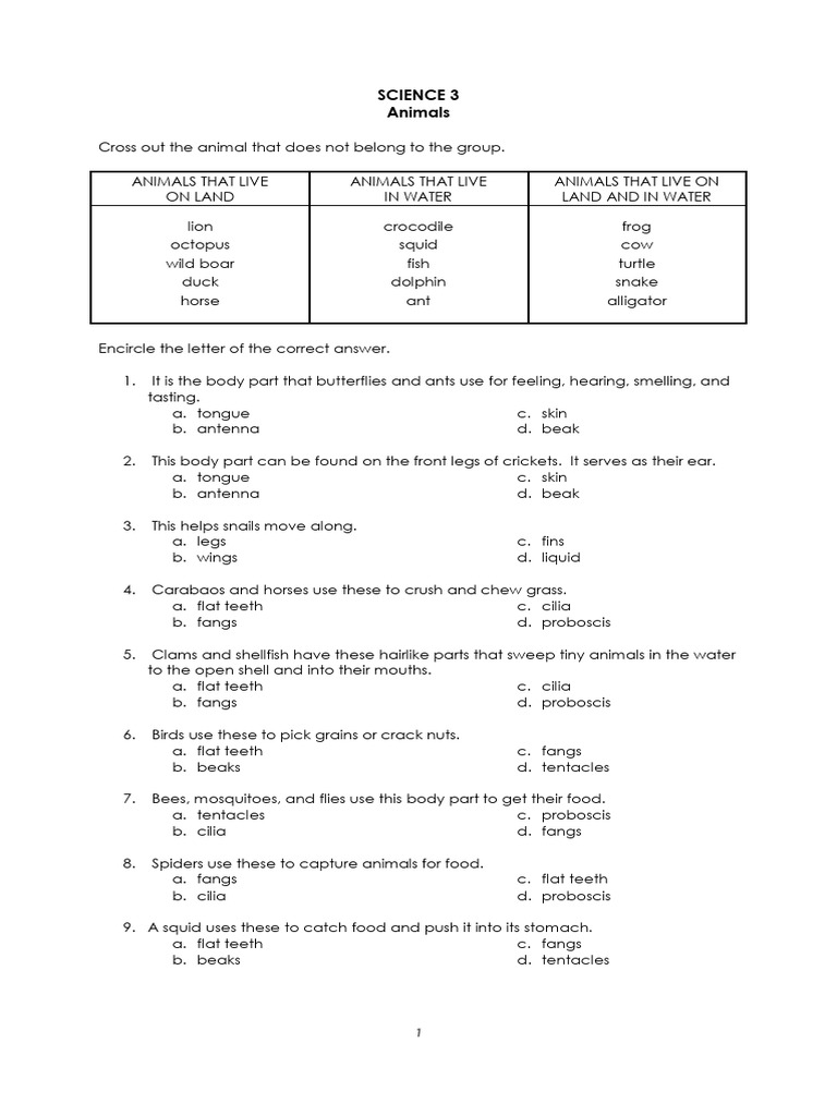 3rd Grade Animal Science Worksheets | PDF | Tentacle | Tooth