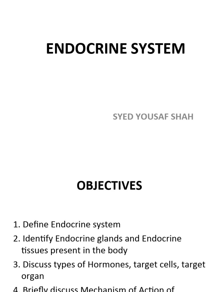 Endocrine System | PDF