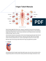 12 Sistem Organ Tubuh Manusia dan Fungsinya | PDF | Kesehatan Holistik