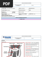 Brochure Acufex | PDF | Knife | Knee