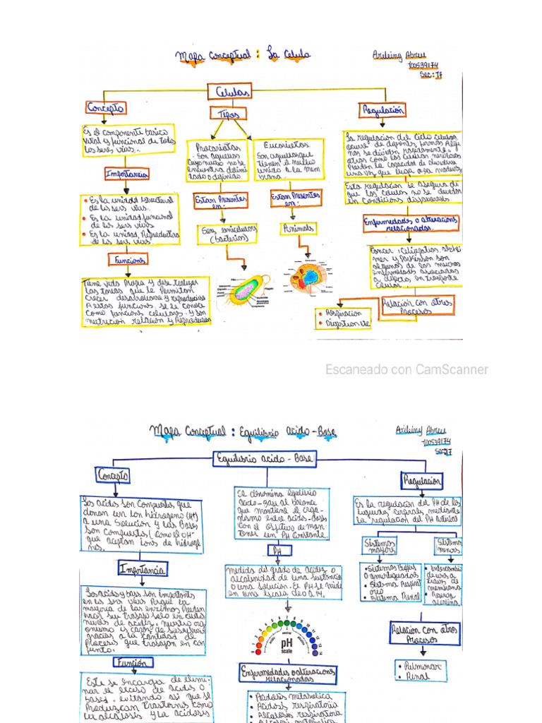 Mapas conceptuales | PDF