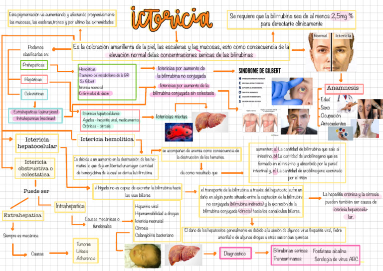 Mapa Conceptual Ictericia | PDF | Especialidades Medicas | Medicina CLINICA