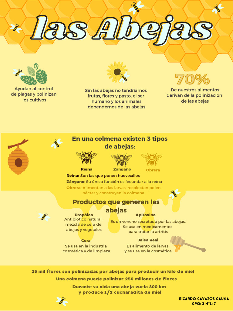 Las Abejas PDF | PDF