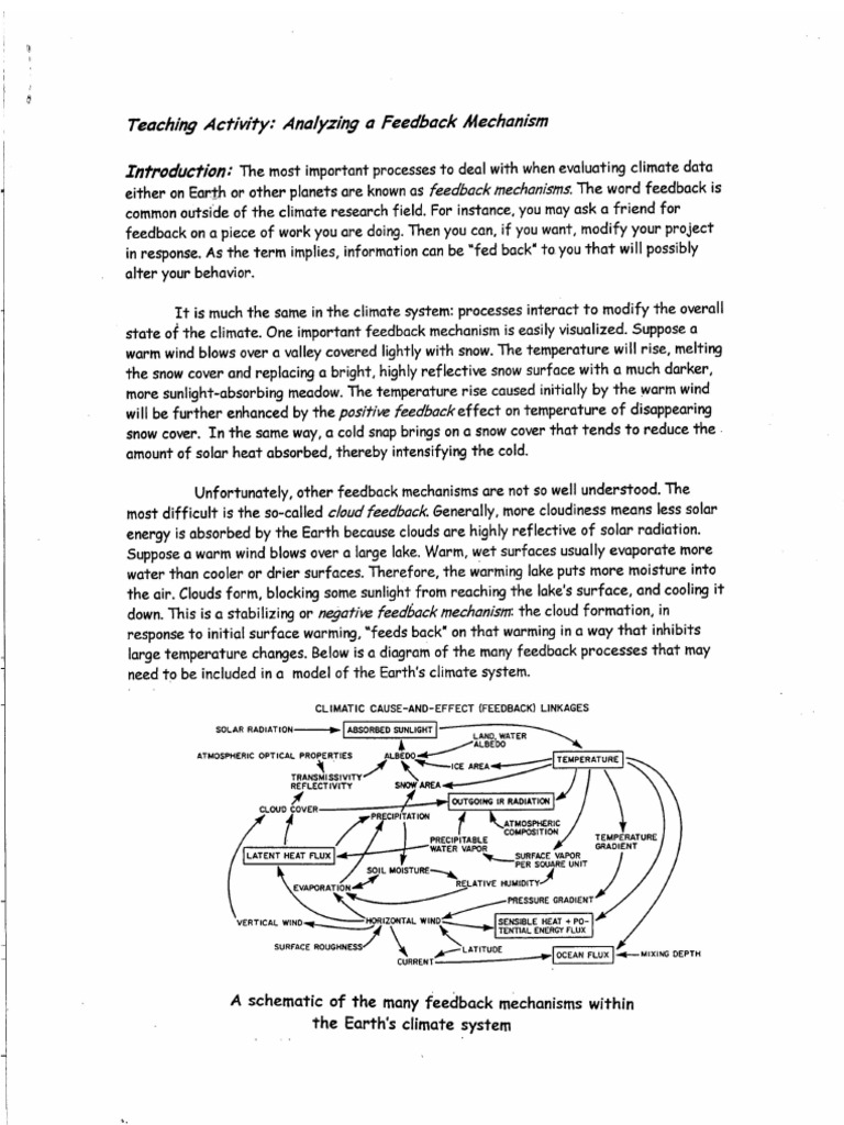 Analyzing A Feedback Mechanism | PDF