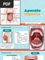 Signo de Murphy | PDF | Vesícula biliar | Gastroenterología