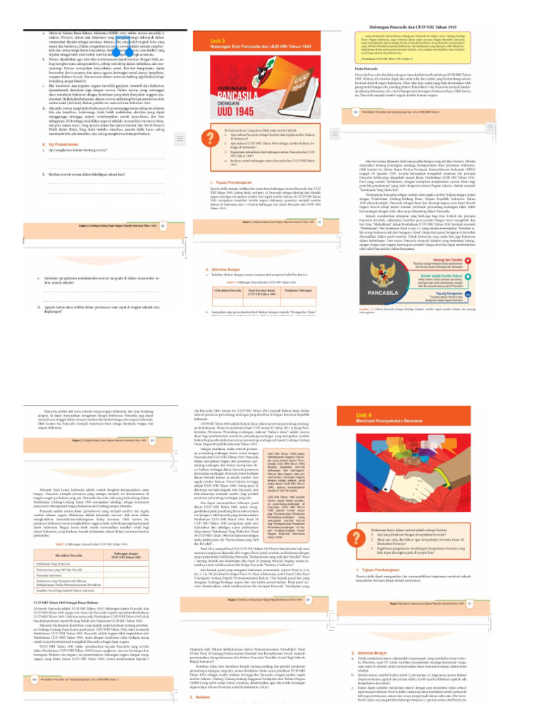 PKN Screenshot | PDF