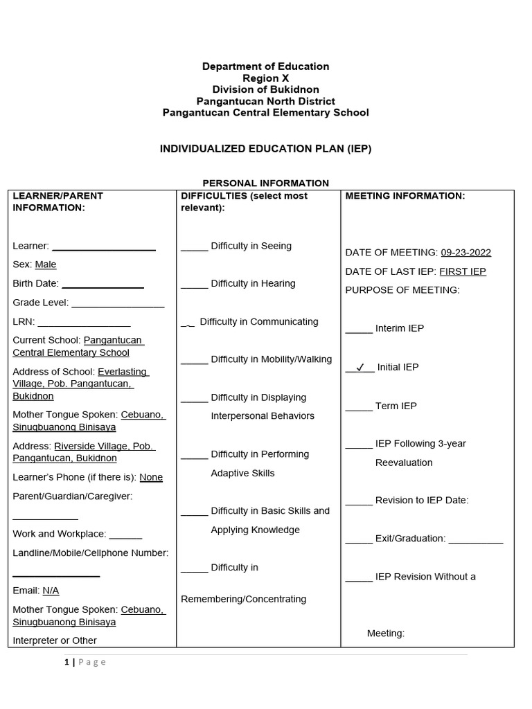 Sample Template For Individualized Educational Plan For SPED | PDF ...