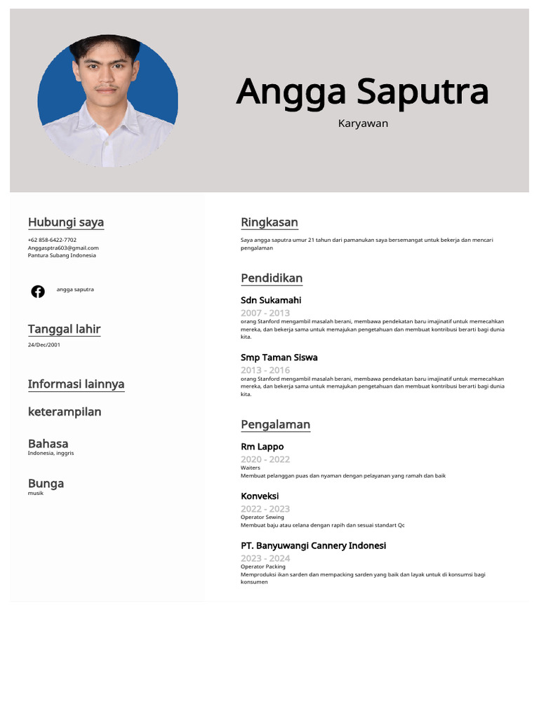 Profil Angga Saputra: Pengalaman Kerja dan Keterampilan | PDF