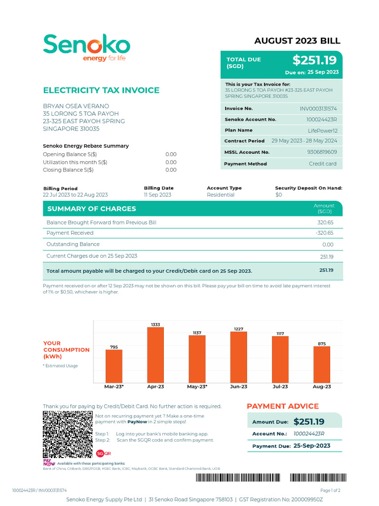 Senoko Energy Bill Payment Summary | PDF