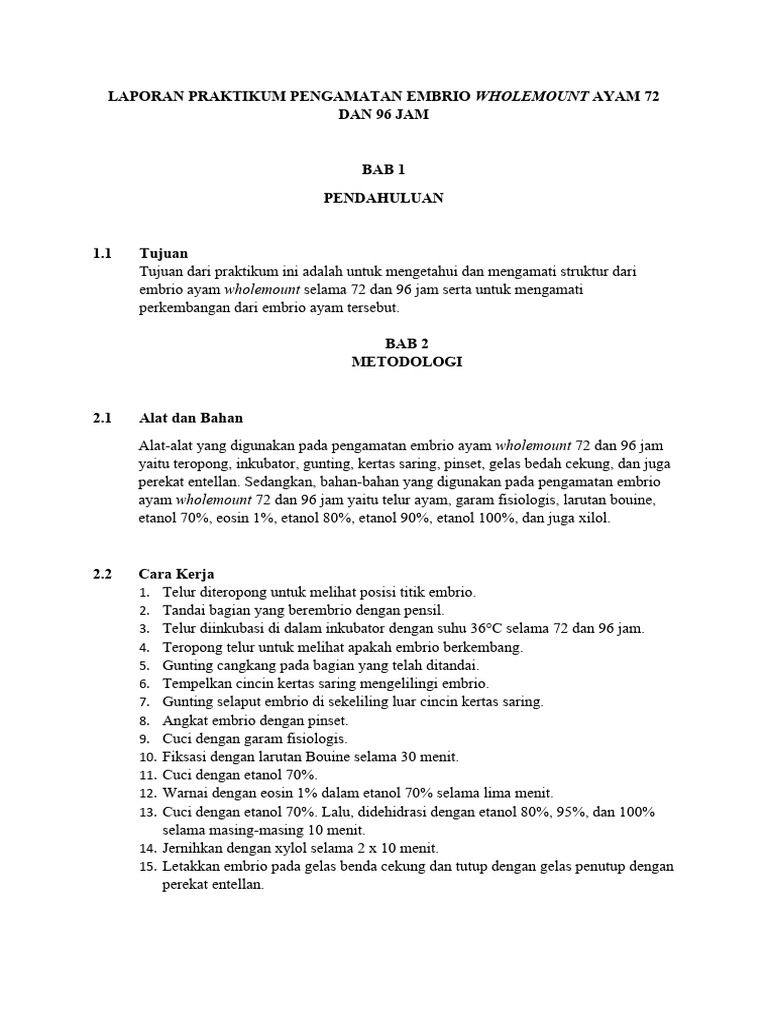 Embrio Ayam 72 Dan 96 Jam | PDF