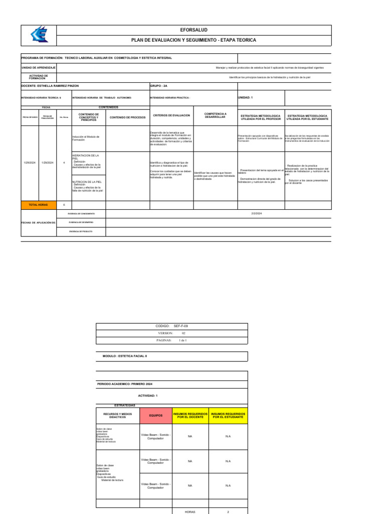 Plan de Evaluación Ef Ii 2a 2024-1 | PDF