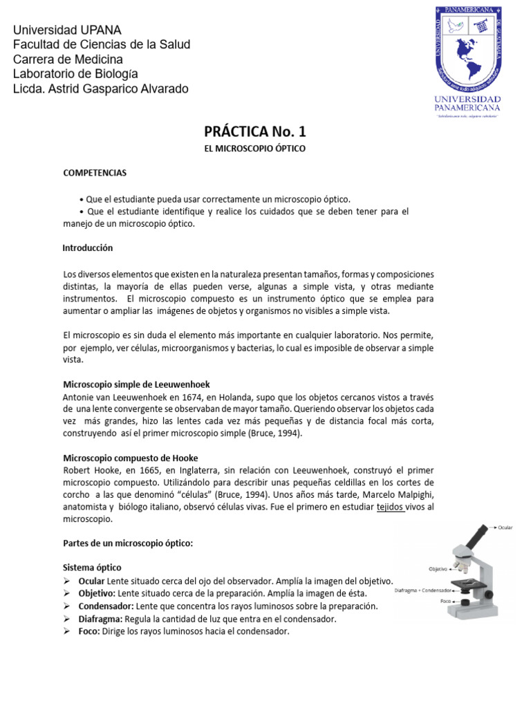 Práctica No. 1. Uso Correcto de Microscopio | PDF | Salud y bienestar ...