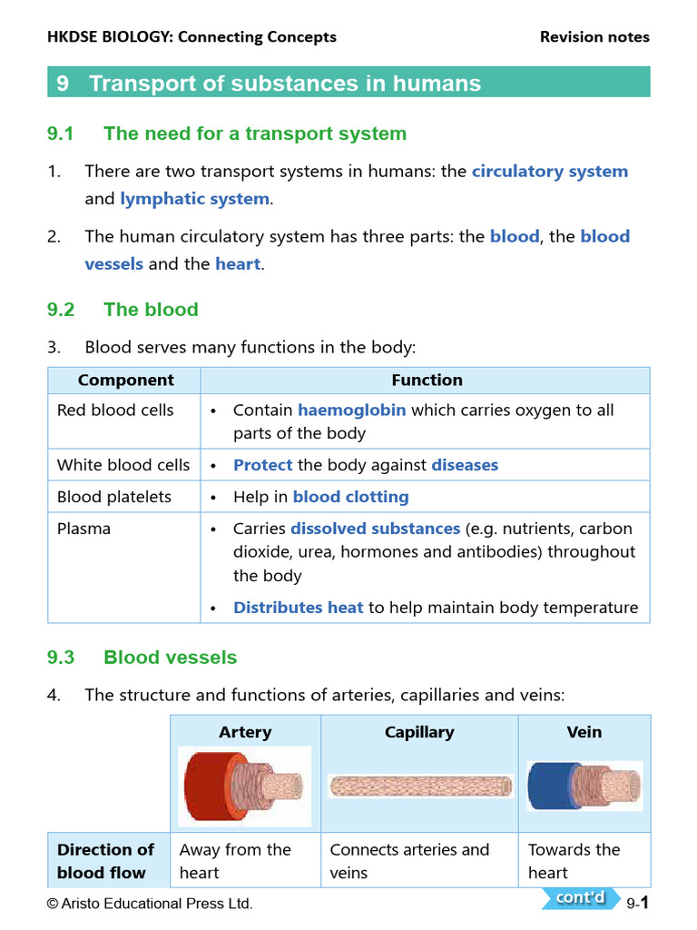 Ch09 - Notes - e 2 | PDF | Heart | Lymph