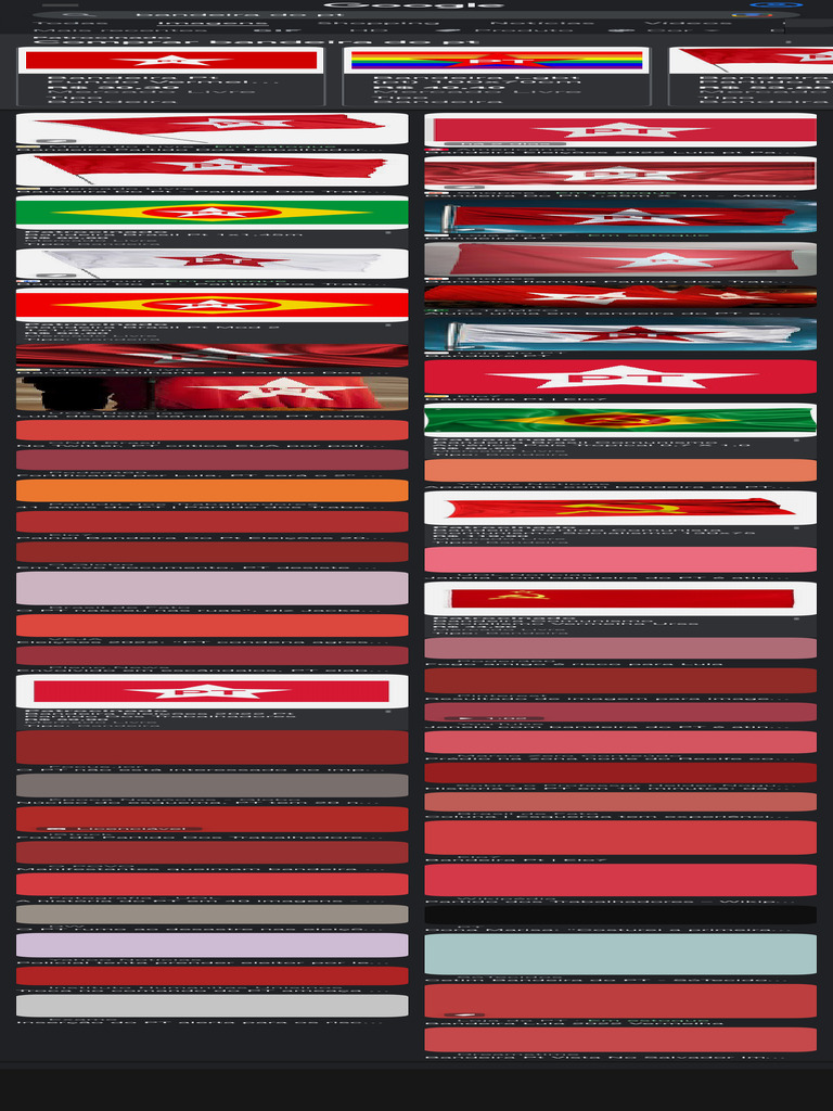 Bandeira do PT: História e Variedades | PDF