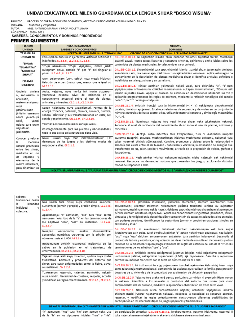 Priorización de Saberes o Conoc. Fcap 2020-2021 - Seleccionados | PDF ...