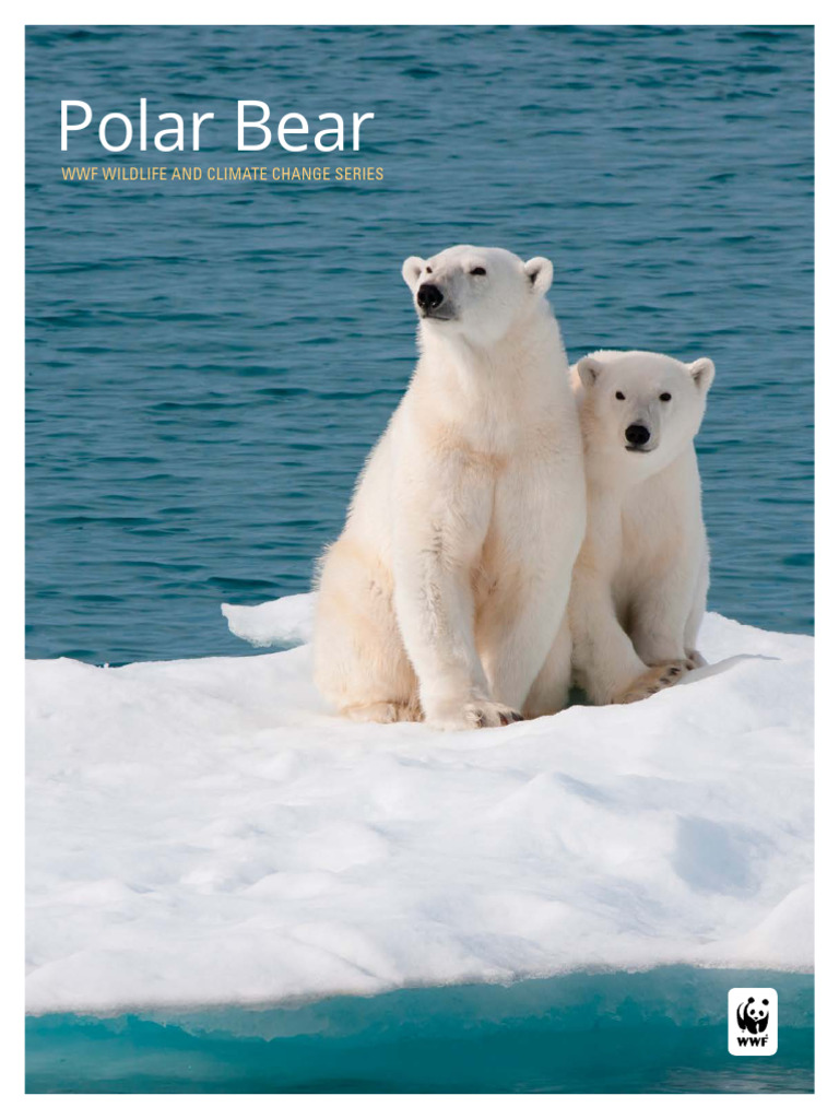Polar Bear WWF Wildlife and Climate Change Series | Download Free PDF ...