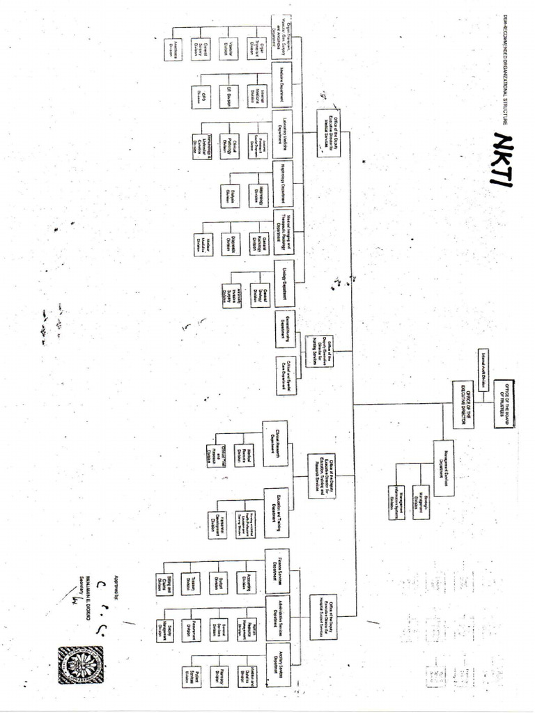 Nkti - Organizational Structure | PDF