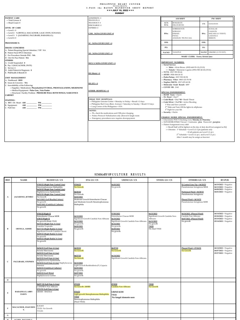 Ipass Updated July 2022 | PDF | Diseases And Disorders | Medicine