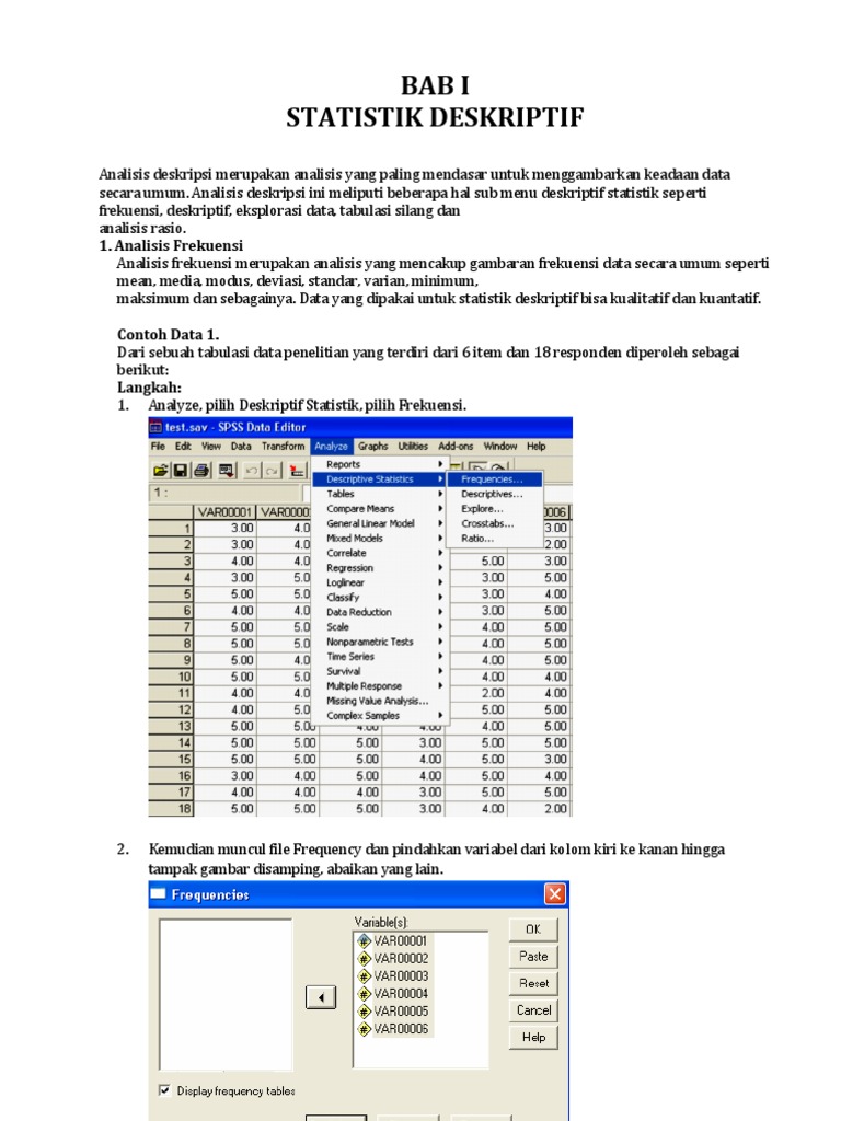 Statistik Deskriptif SPSS | PDF