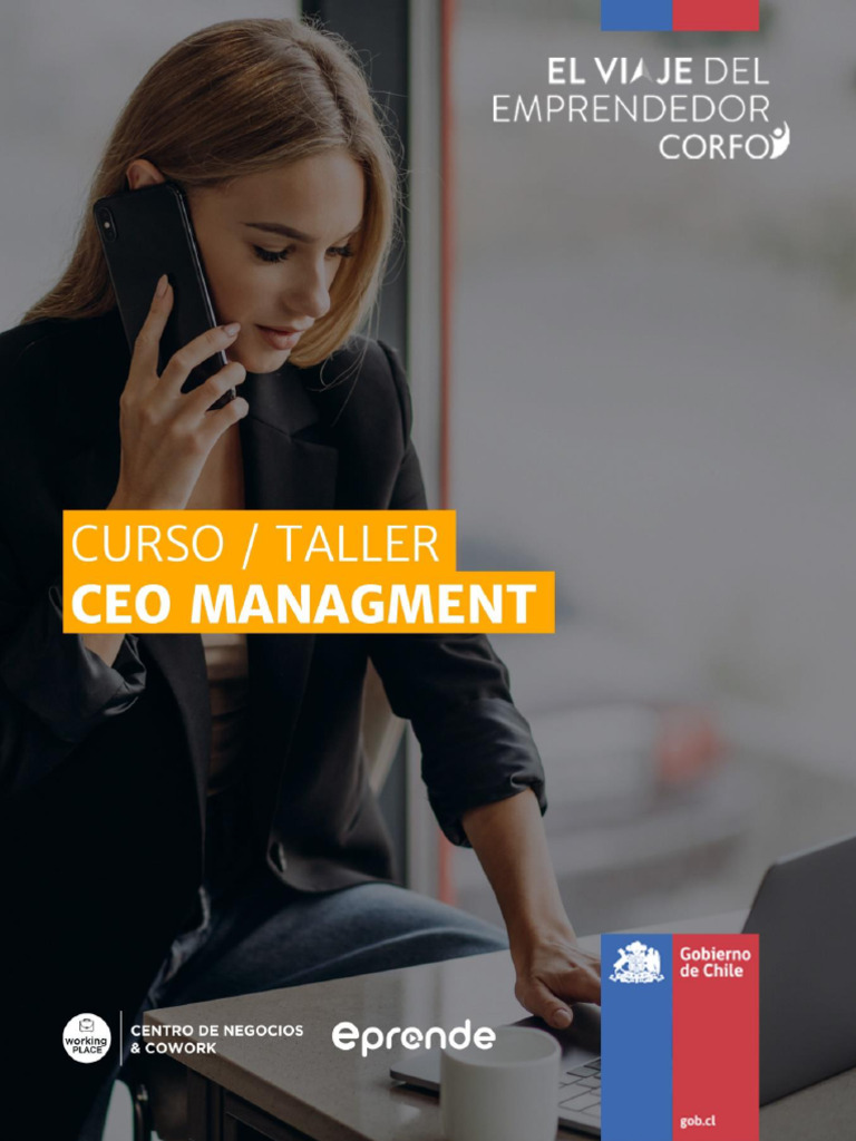 Booklet - CEO Management | PDF | Business | Mercado (economía)