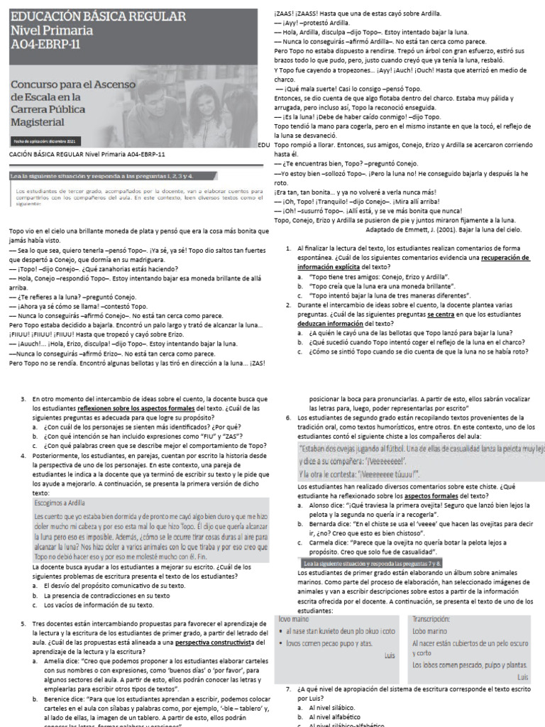 Word Educación Básica Regular Nivel Primaria A04 | PDF