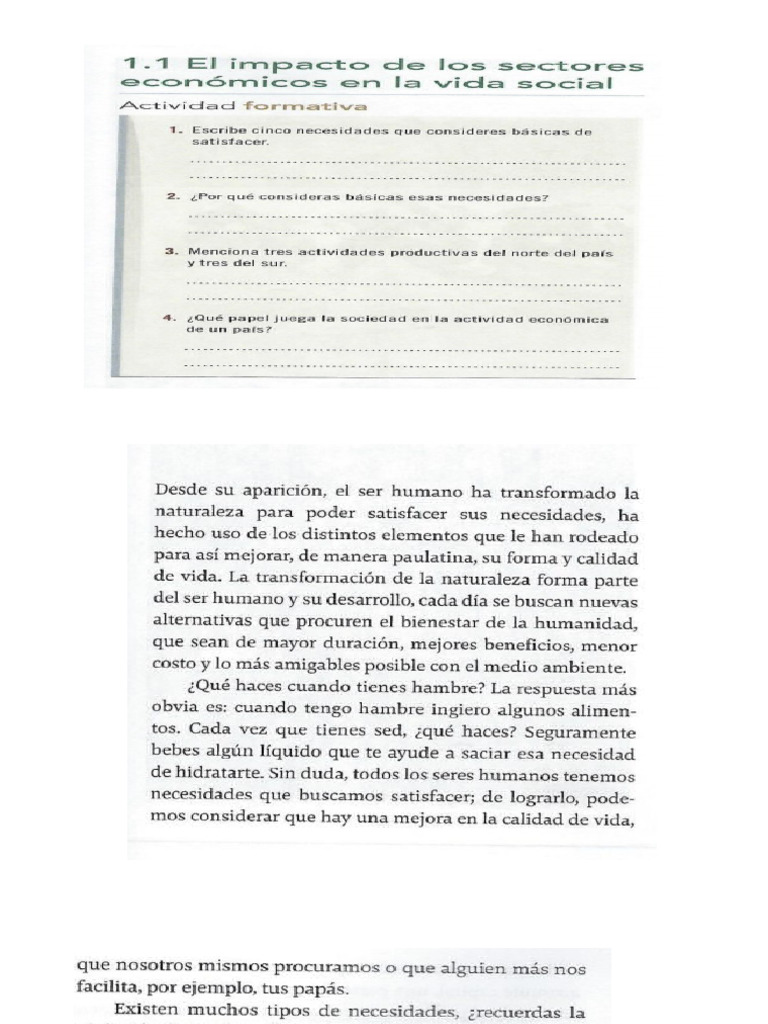 Progresion 1 Csii - 075233 | PDF