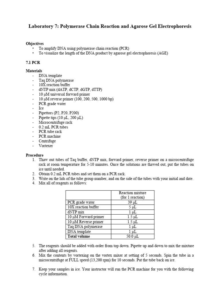 PCR and Agarose Gel Electrophoresis Guide | PDF | Agarose Gel ...
