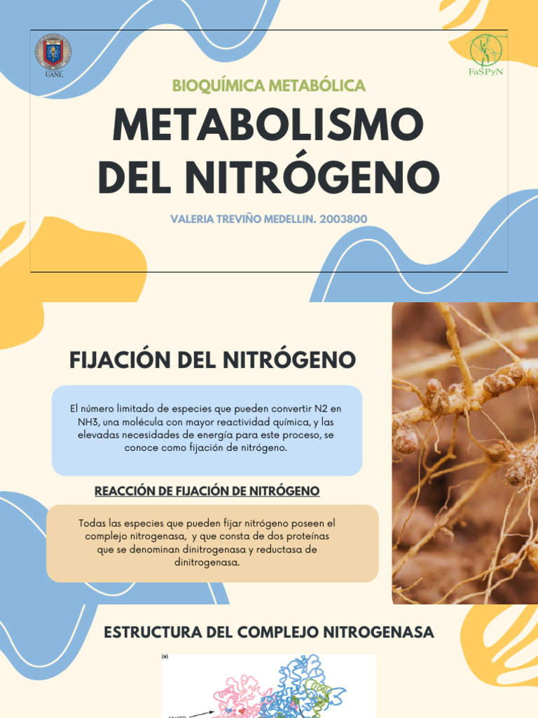Bioquimica VTM | PDF