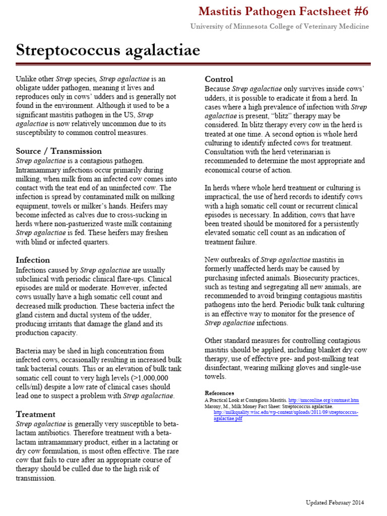 Streptococcus-Agalactiae Mastitis | PDF