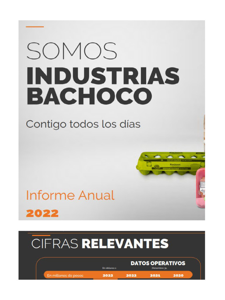 BACHOCO | PDF